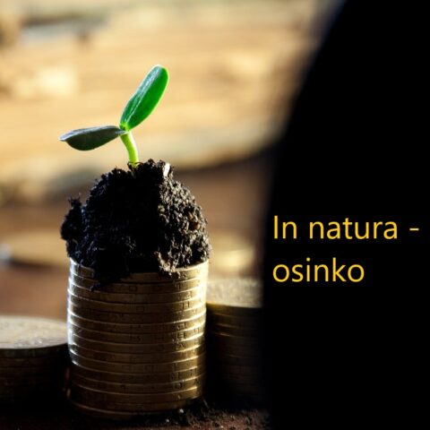 In natura -osinko – Muuna kuin rahana jaetun osingon verotus